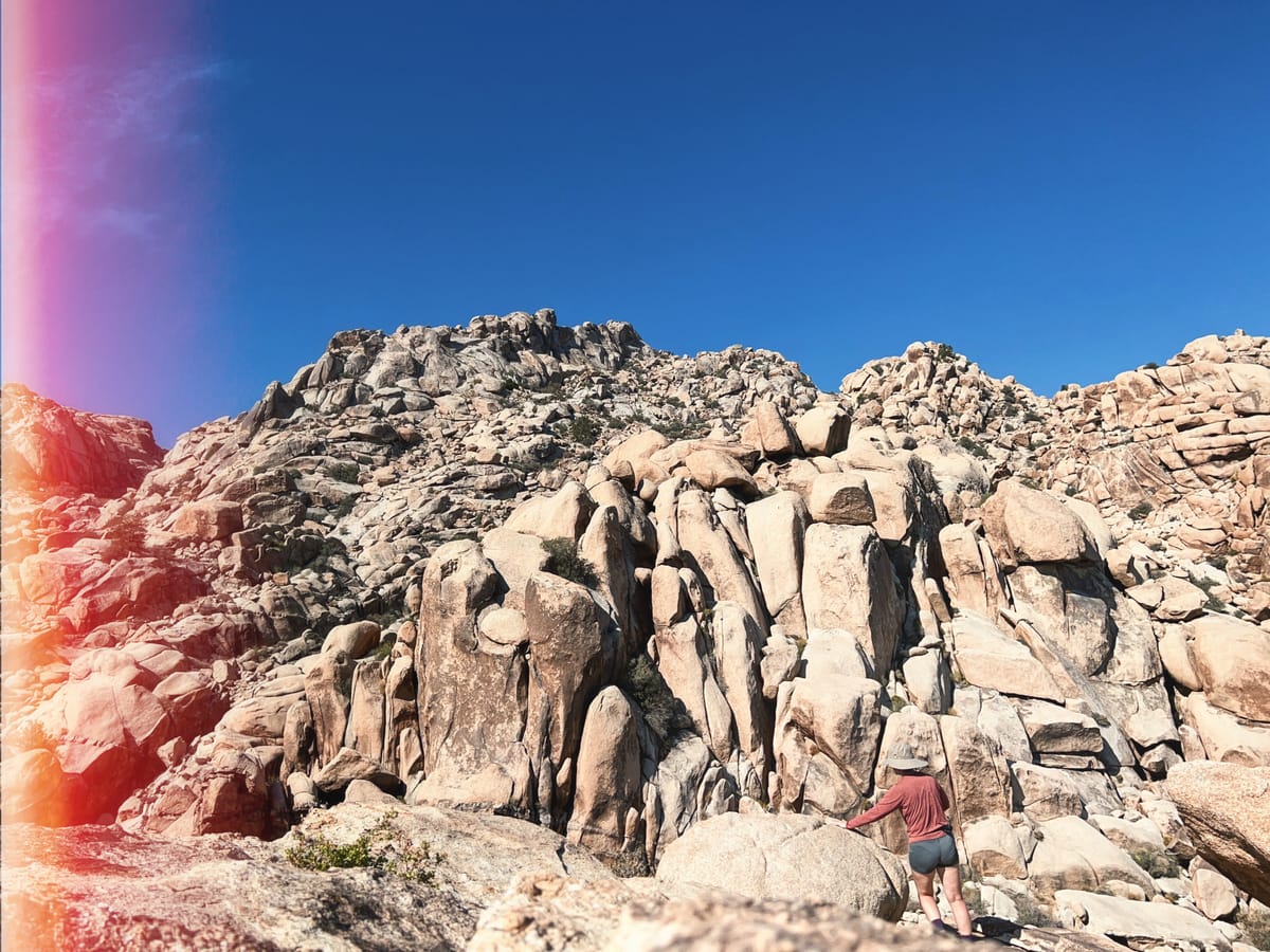 The "big rocks" method of learning to track food
