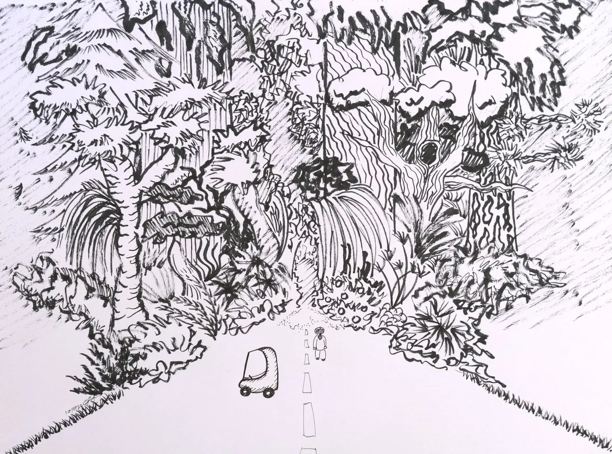 exploring the dead-end forest